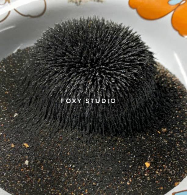 Jual PASIR PANTAI / PASIR BESI / MAGNETITE SAND | Shopee Indonesia