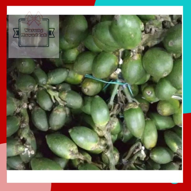 Jual PINANG / JAMBE MUDA | Shopee Indonesia