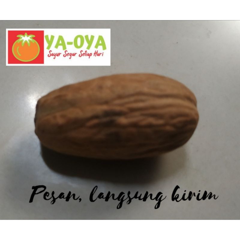 Jual Biji pala 1 buah | Shopee Indonesia