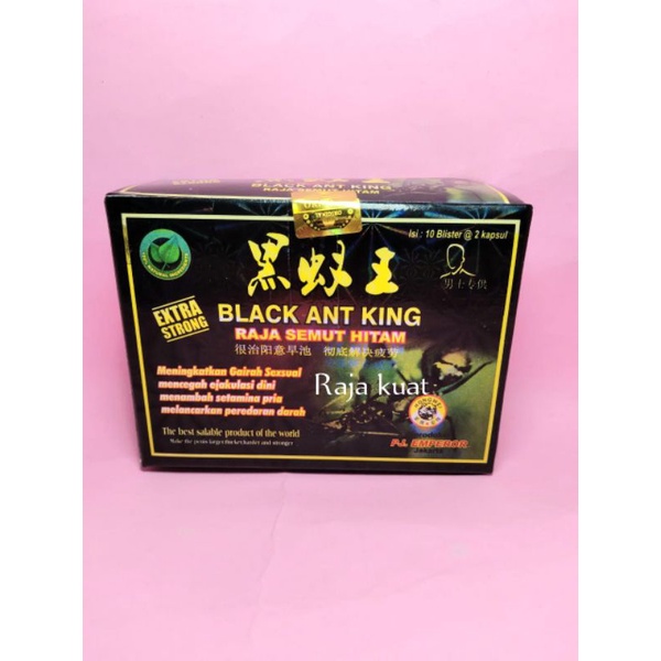 Jual Raja semut hitam(black ant king) | Shopee Indonesia