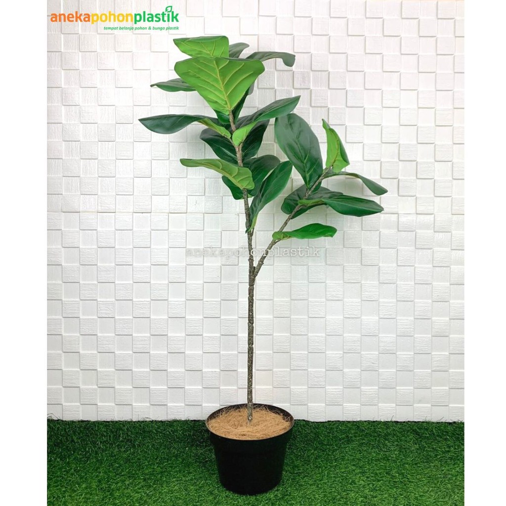 Jual Pohon Artificial Daun Ketapang Besar T120 Latex Pot Dasar Hitam ...