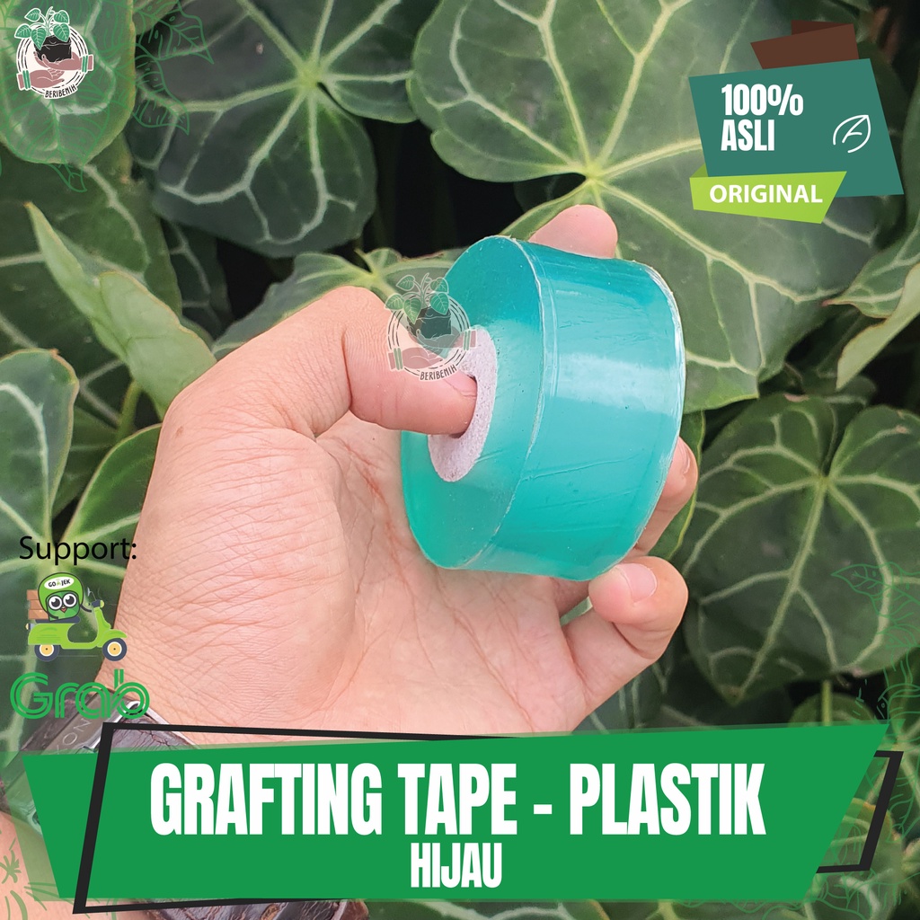 Jual SOLATIP OKULASI TAPE PLASTIK CANGKOK SAMBUNG PUCUK TANAMAN HIAS ...
