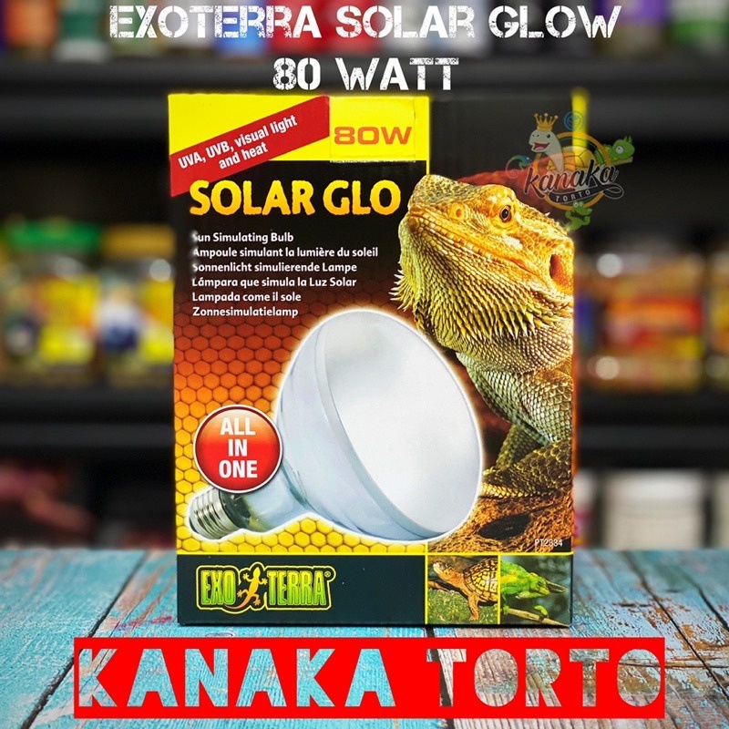 Jual Exoterra Solar Glo 80 Watt Lampu Uva Uvb Reptil Kura Kadal Torto Sulcata Pardalis Aldabra ...