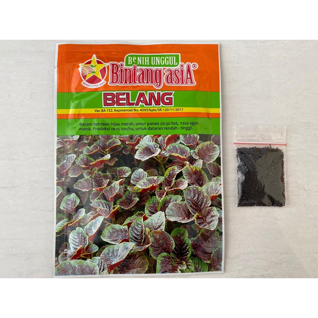 Jual REPACKED Benih Bayam Merah BELANG | Shopee Indonesia