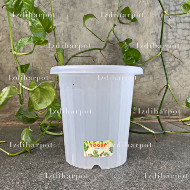 Jual pot bunga tanaman tinggi yogap YPT 25 bening transparan - bahan ...