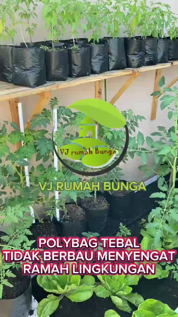 Jual VJ RUMAH BUNGA-Paket Polybag Tanaman Tebal isi ratusan plastik ...