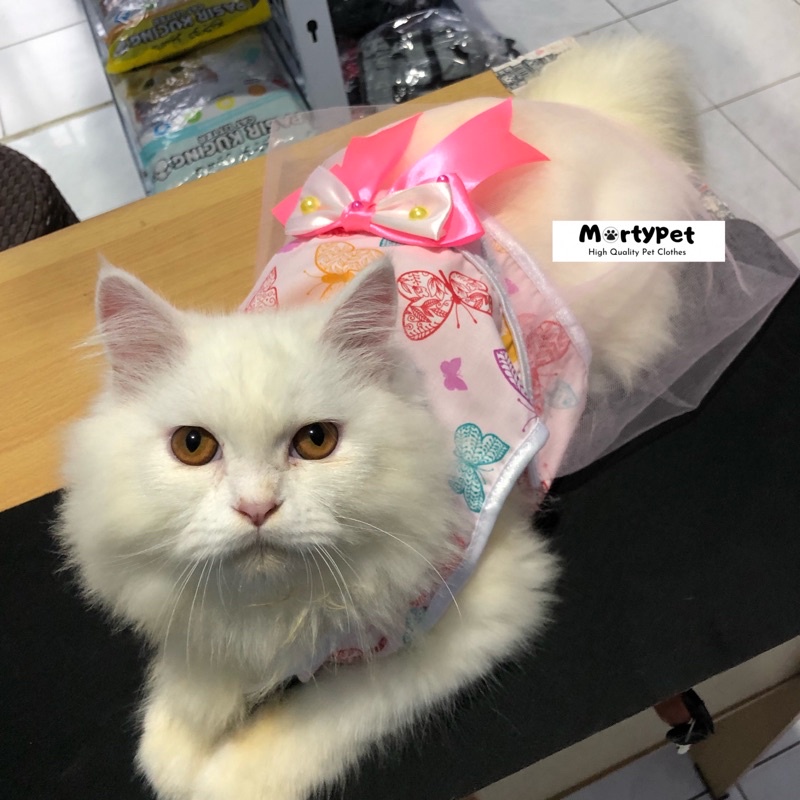 Jual Baju kucing anjing dress tile tutu butterfly | Shopee Indonesia