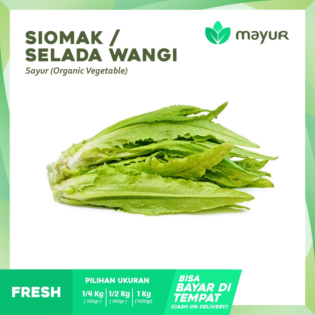 Jual Siomak / Selada Wangi ( 250gr | 500gr | 1 kg ) | Shopee Indonesia