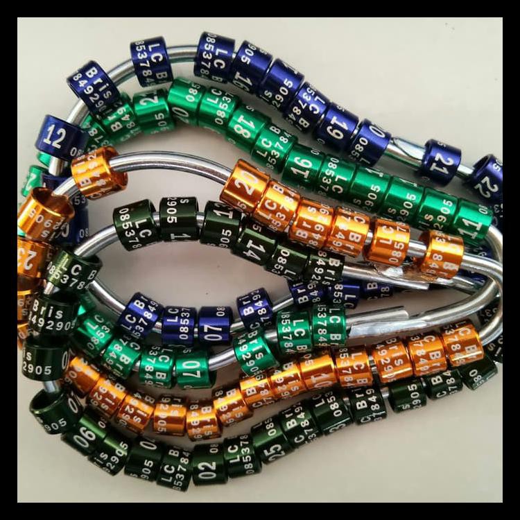 Jual Ring Burung Model 2 Susun/Baris Terbaik | Shopee Indonesia