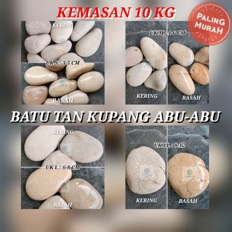 Jual BATU TAN KUPANG ABU-ABU 10KG, BATU KORAL, BATU HIAS, BATU TABUR ...