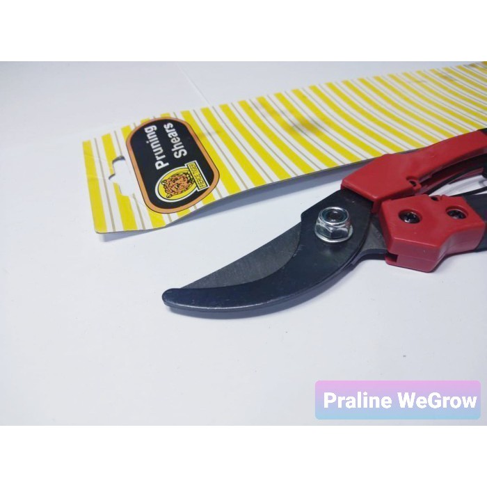 Jual Gunting Stek Dahan Tiger Mirip Kenmaster K800 8 inch 20 cm ...