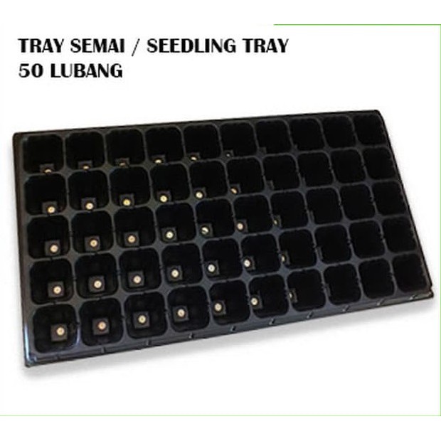 Jual Tray Semai / Bibit 50 Lubang Untuk Benih Tanaman (Bentuk Kotak ...