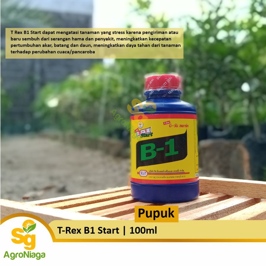 Jual Pupuk Vitamin B1 Thailand Original T Rex Kemasan 100 ml | Shopee ...