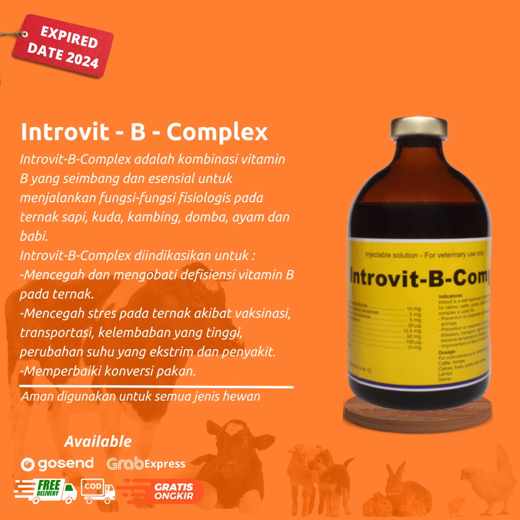 Jual INTROVIT B-COMPLEX 100ml Original (KONSENTRASI TINGGI DAN BIOTIN ...