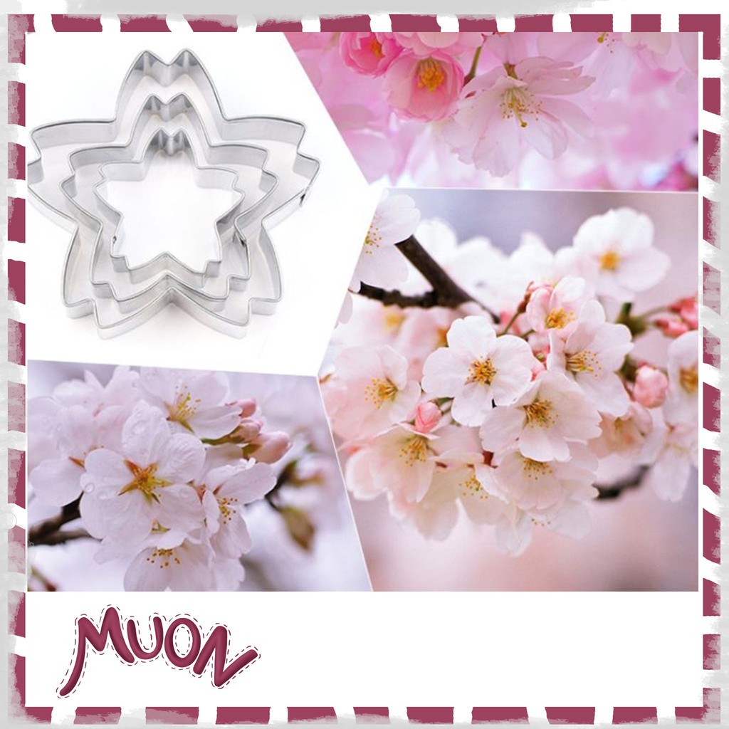 Jual Set Cutter Stainless Bunga Sakura Cherry Blossom Cookie Biskuit ...