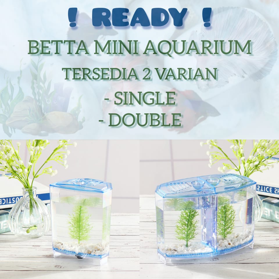 Jual Aquarium Betta Mini Fish Tank Sekat Single Double | Shopee Indonesia