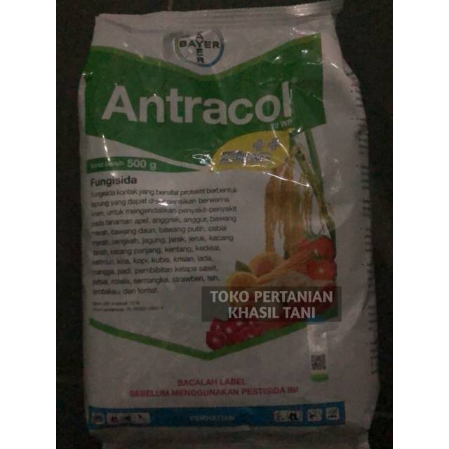 Jual Fungisida ANTRACOL 70WP plus zinc 500gr - Bayer | Shopee Indonesia