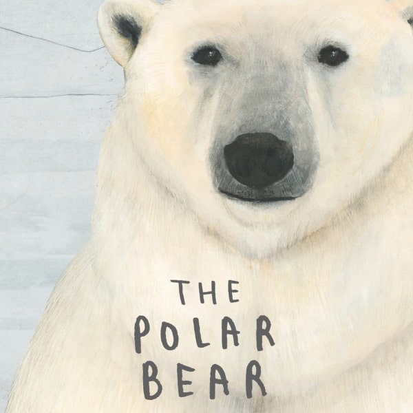 Jual The Polar Bear by Jenni Desmond | Shopee Indonesia