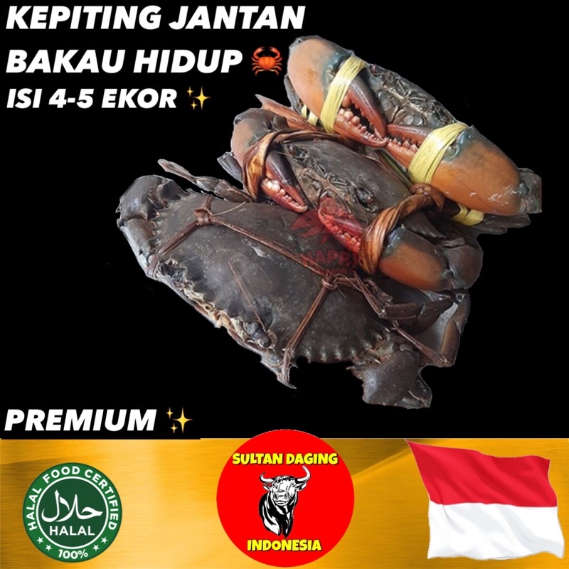 Jual KEPITING BAKAU PAPUA HIDUP 1 KG ISI 3-4 EKOR PREMIUM/ KEPITING ...