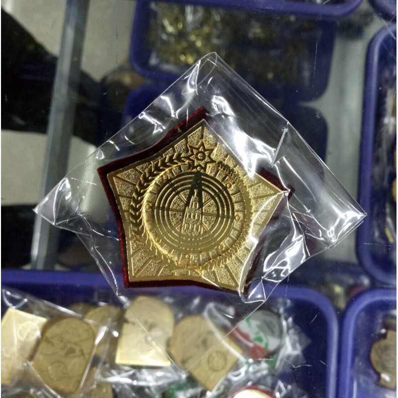 Jual Pin Alumni D4 Transportasi Darat PTDI STTD | Shopee Indonesia