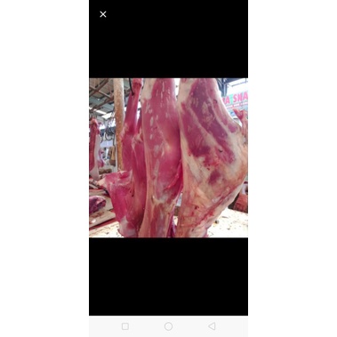 Jual daging sapi has dalam dijamin fresh segar 1kg | Shopee Indonesia