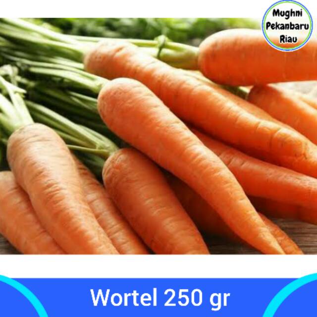 Jual Wortel Wartel 1/4 Kg | Shopee Indonesia