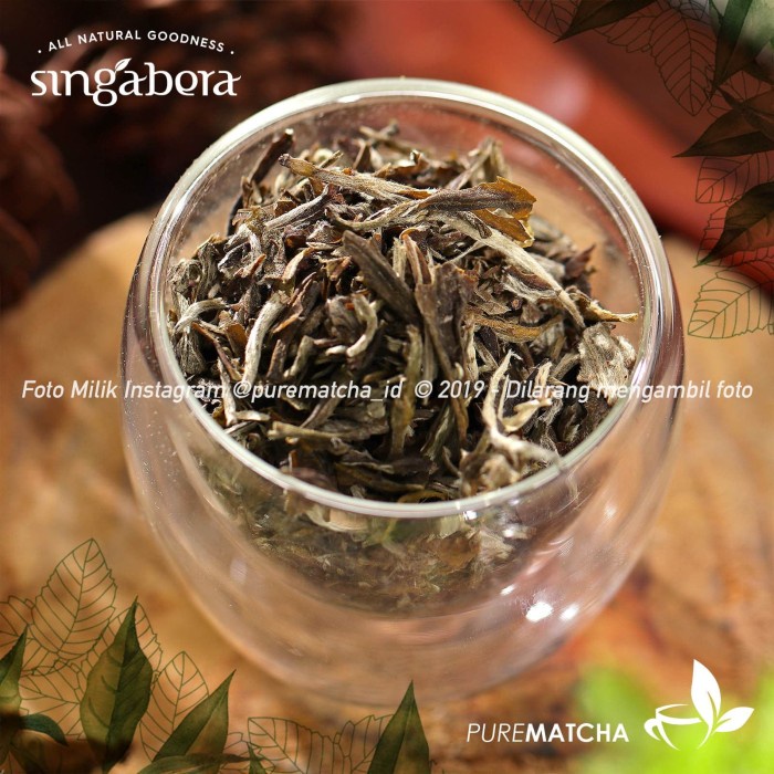 Jual TEH-DAUN- SINGABERA - WHITE PEONY 1TB SAMPLE WHITE TEA TEH PUTIH ...
