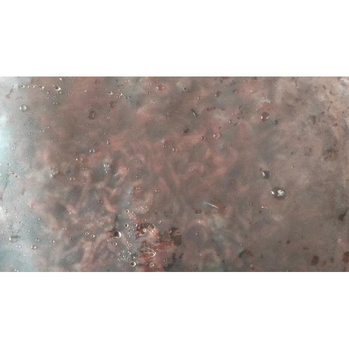 Jual Bloodworm/Cacing Beku/Cabek (Tray) | Shopee Indonesia