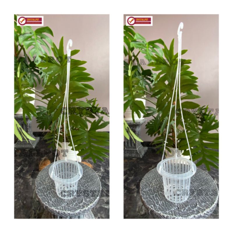 Jual Pot Bunga Tanaman Gantung Anggrek Nkt Netpot 14 Bening Transparan ...