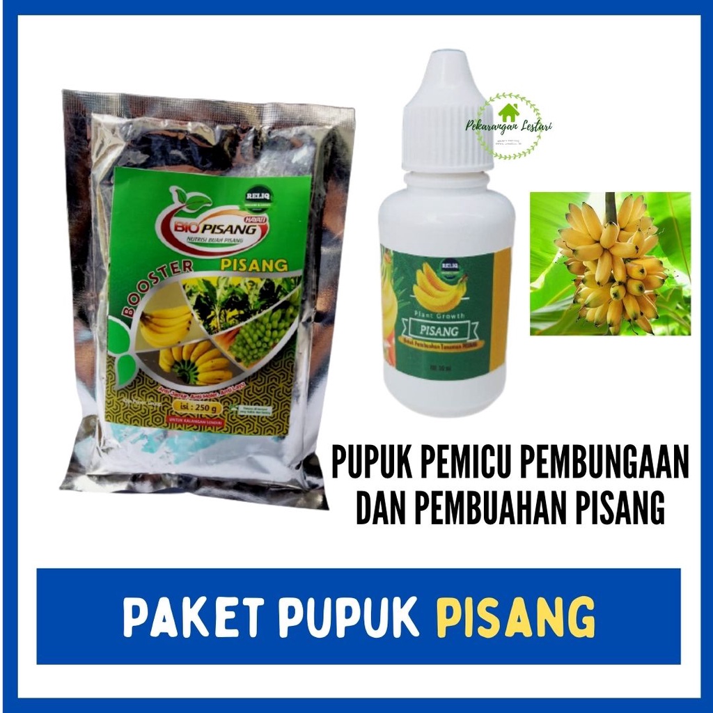 Jual Pupuk Pisang Saat Berbuah, Fungisida Layu Fusarium Pisang Cavendish, Paket Budidaya Pohon ...