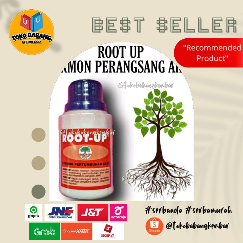 Jual ROOT UP 100 GRAM zpt HORMON PERTUMBUHAN AKAR | Shopee Indonesia