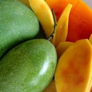 Jual Mangga 1 Kg Terlengkap & Harga Terbaru September 2024 | Shopee ...