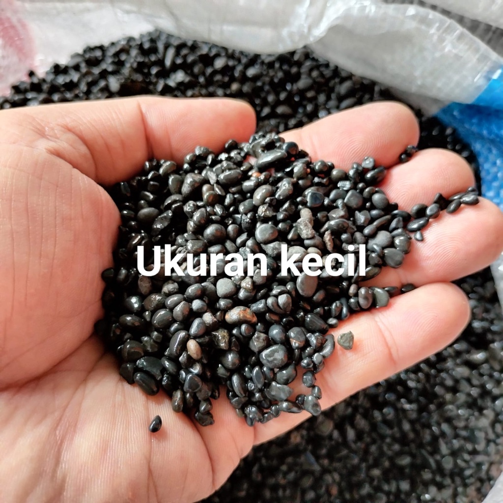 Jual Batu Alor bali / Batu Hitam / Aquascape / 1 kg | Shopee Indonesia