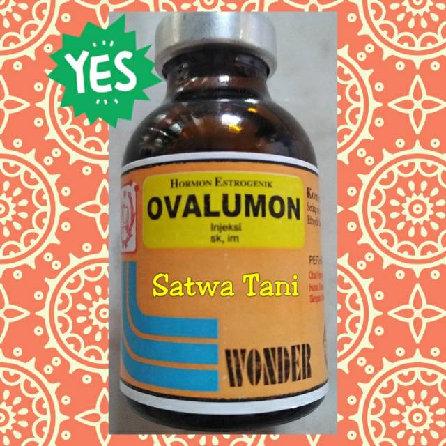 Jual Ovalumon -produk terlaris- (reproduksi ternak betina) | Shopee ...