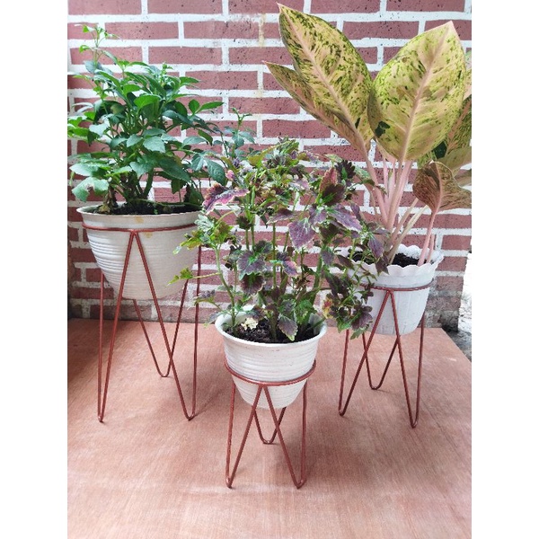 Jual BESI 8mm 1 PAKET ISI 3 standing pot | tatakan pot | Rak pot besi ...