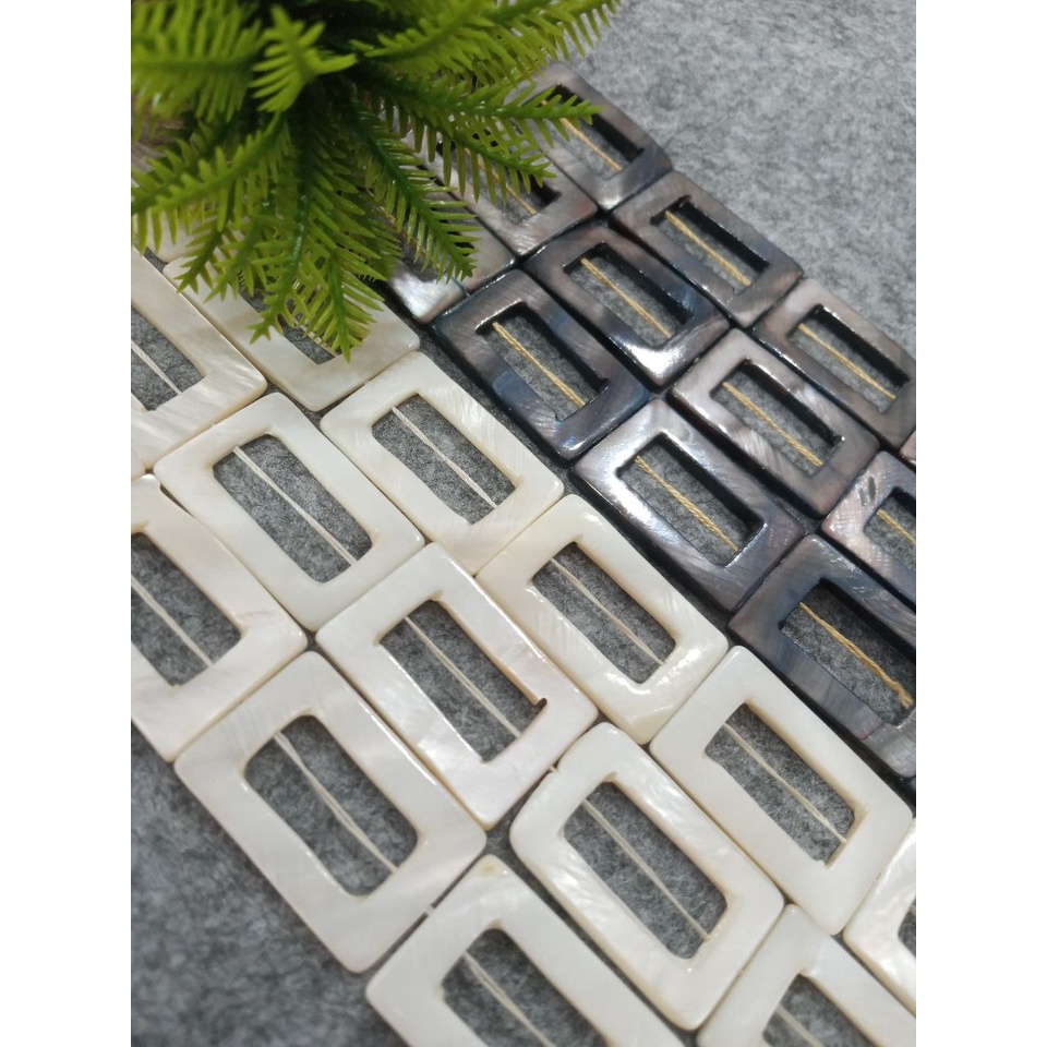 Jual KERANG PIPIH LUBANG PERSEGI | Shopee Indonesia