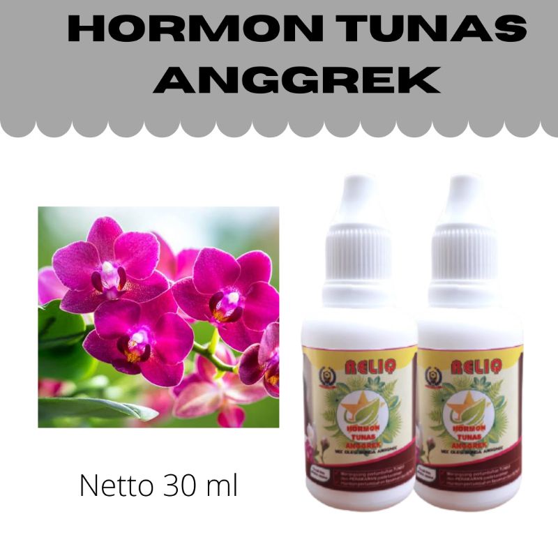 Jual Hormon pemicu Pertumbuhan tunas dan perakaran pada tanaman, hormon ...