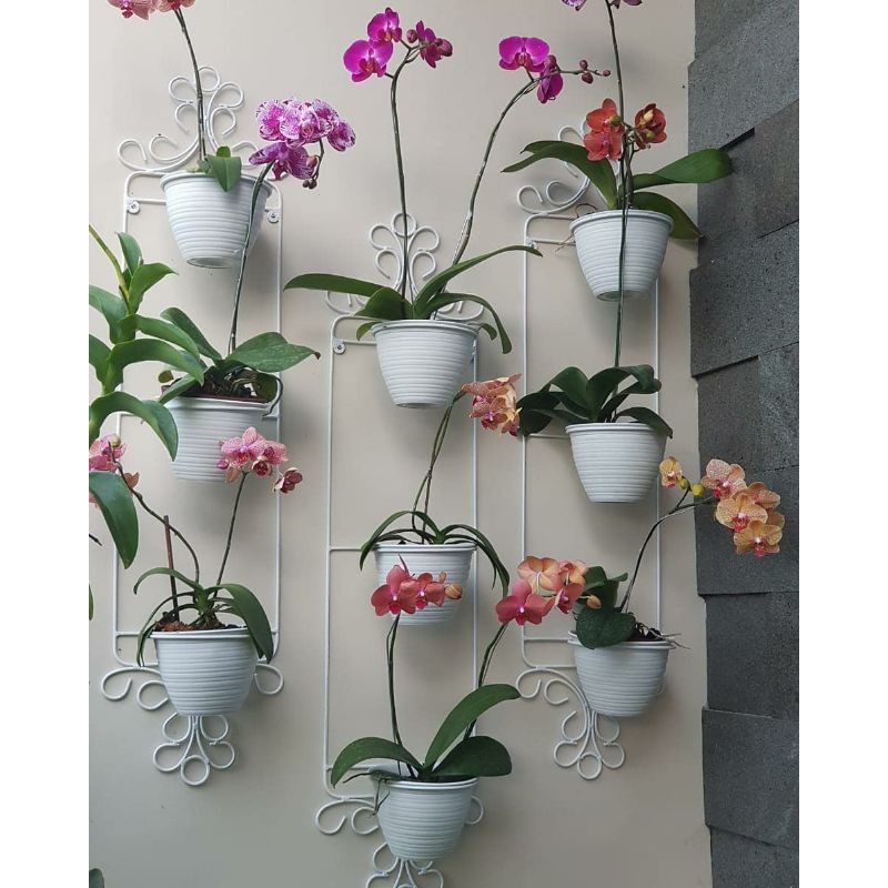 Jual Standing Pot Dinding ANGGREK+BONUS POT D15 / Rak Pot Bunga Tempel ...