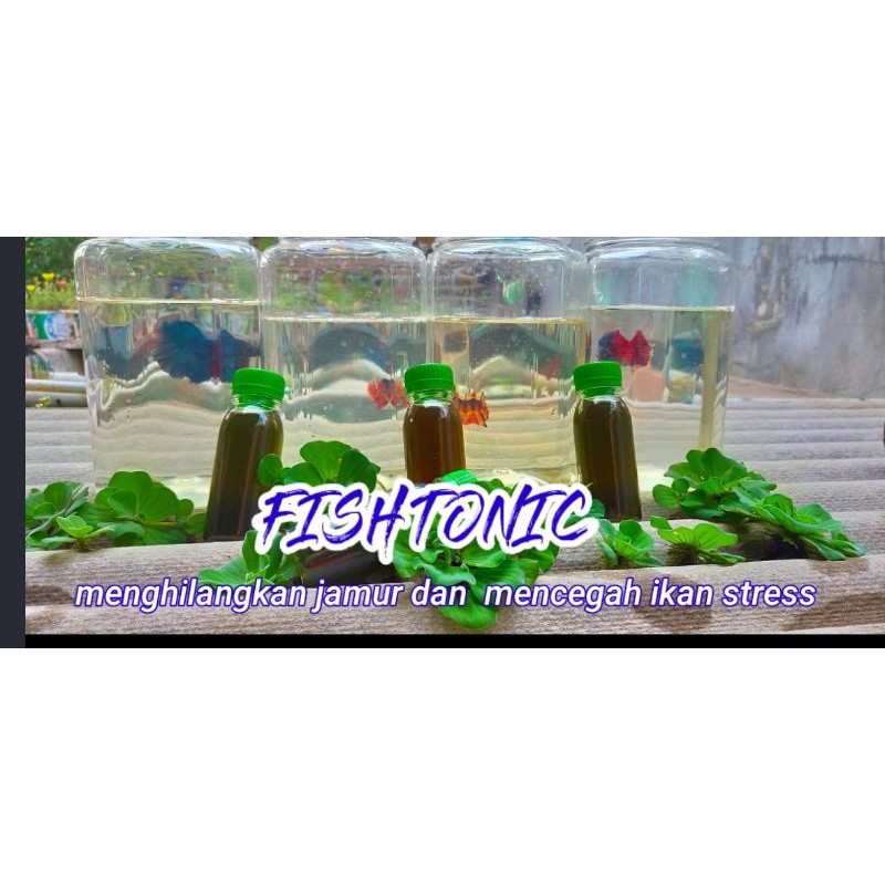 Jual Fish Tonic ( obat ikan ) | Shopee Indonesia