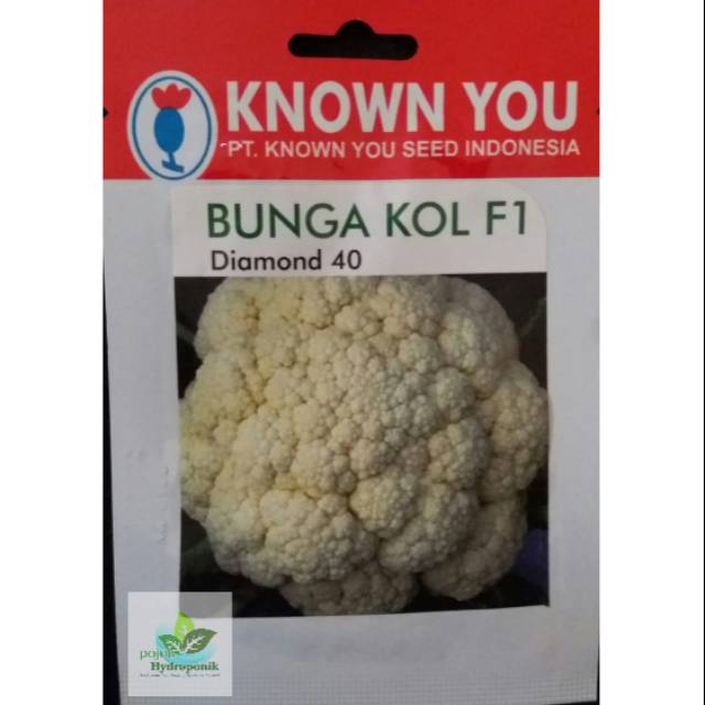 Jual BUNGA KOL | Shopee Indonesia
