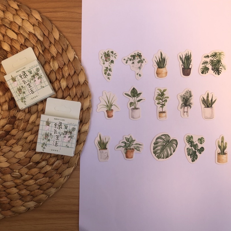 Jual Sticker Deco Green Plant | Shopee Indonesia