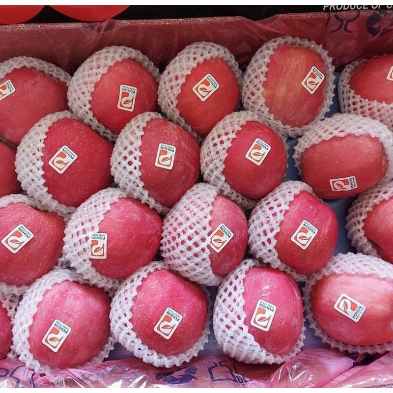 Jual Apel Fuji Premium 1 Kg | Shopee Indonesia