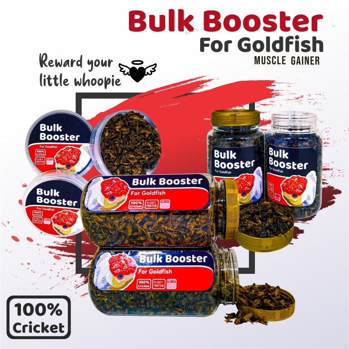 Jual Pakan Makanan Ikan Mas Koki Bulk Booster For Goldfish [100 gr ...