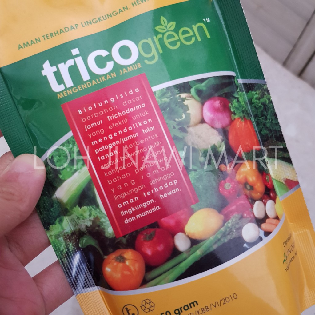 Jual Fungisida Biofungisida Trichoderma Trico Green 250 g | Shopee ...