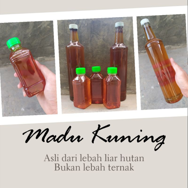 Jual Madu Kuning Hutan Asli | Shopee Indonesia