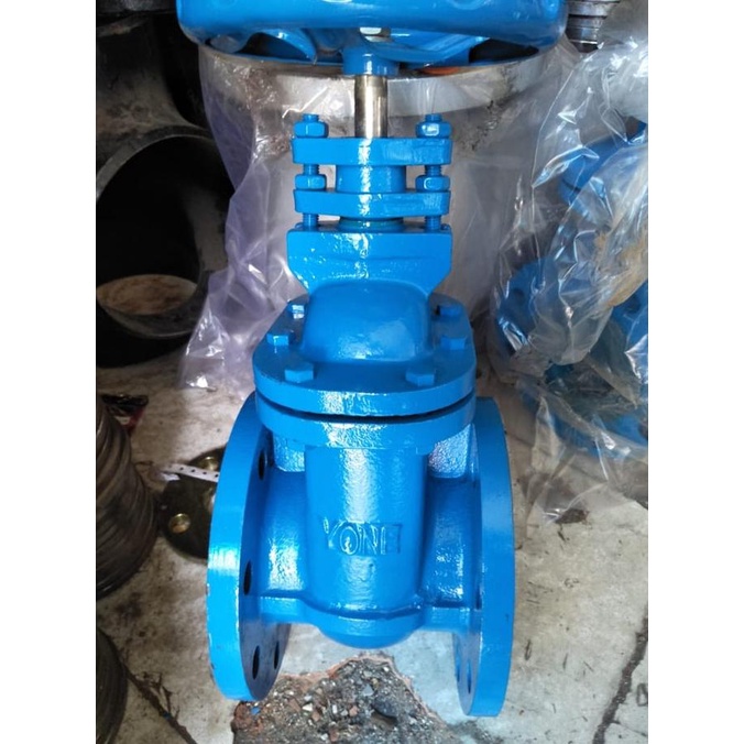 Jual Gate Valve Cast Iron Jis 10K 2 Inch | Shopee Indonesia