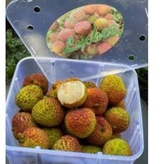 Jual Leci Terlengkap & Harga Terbaru Juli 2024 | Shopee Indonesia