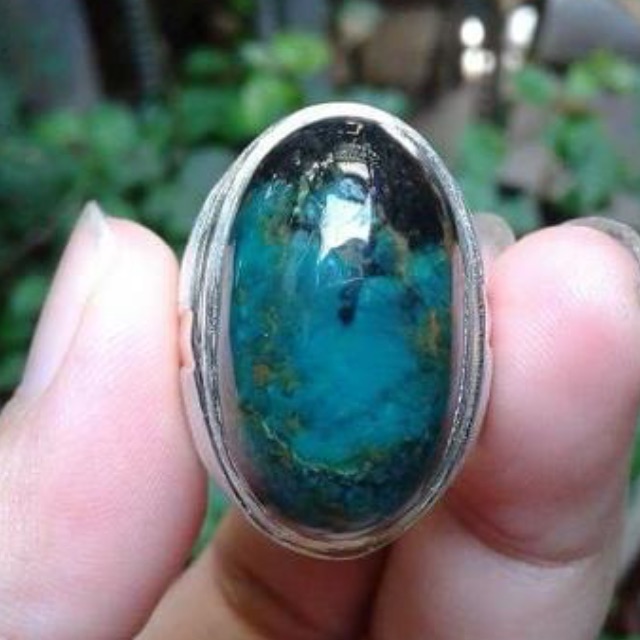 Jual Bacan doko | Shopee Indonesia