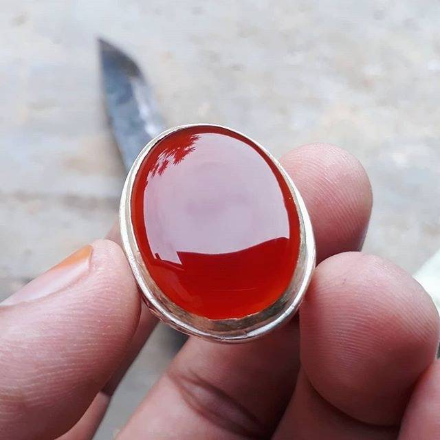 Jual Red Rafflesia Merah Fanta | Shopee Indonesia