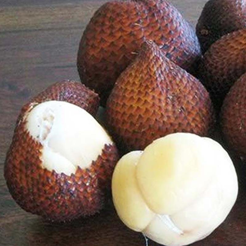 Jual Salak Gula Pasir Bali Asli Manis 1 Kg | Shopee Indonesia